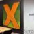 Green Walls Toronto: Transform Your Walls With Greenery | Terra Design