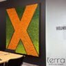 Green Walls Toronto: Transform Your Walls With Greenery | Terra Design