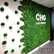 Green Walls Toronto: Transform Your Walls With Greenery | Terra Design