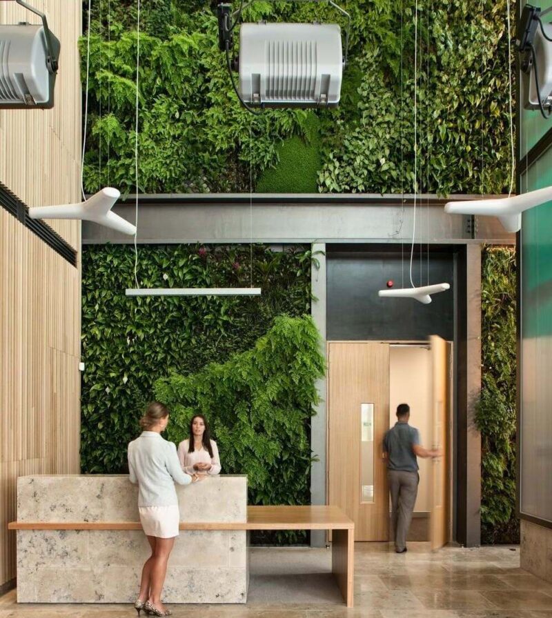 Green Walls Toronto: Transform Your Walls With Greenery | Terra Design