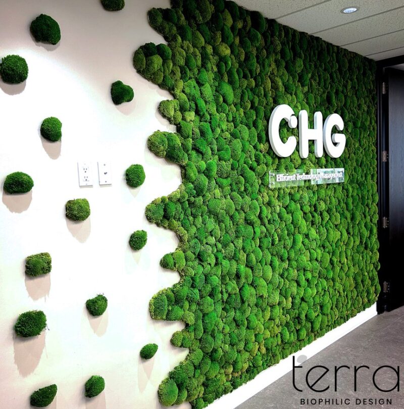 Moss Walls Toronto: Preserved Moss Wall Art, Design & Install | Terra ...
